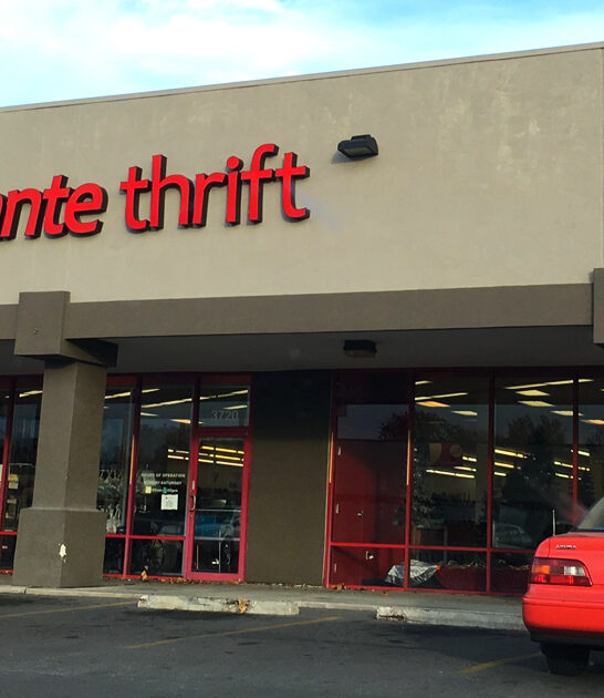enormous thrift kansas stretches ftr