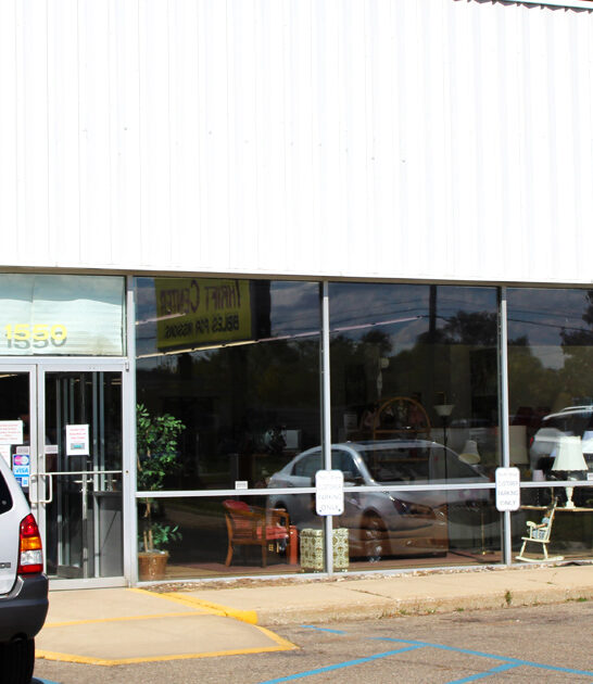enormous thrift michigan store ftr
