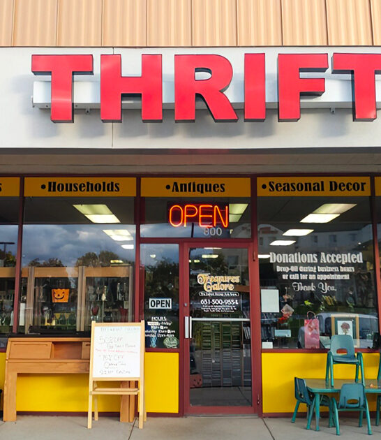 enormous thrift minnesota find ftr