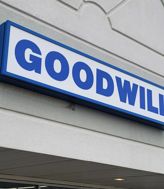 enormous thrift spot michigan ftr