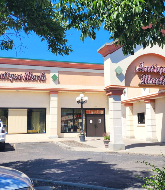 enormous vintage store idaho ftr