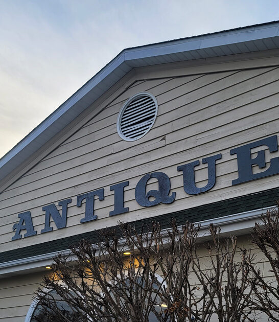 enormous vintage stores delaware ftr