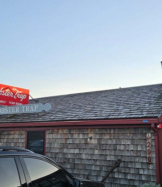 excellent lobster roll massachusetts ftr