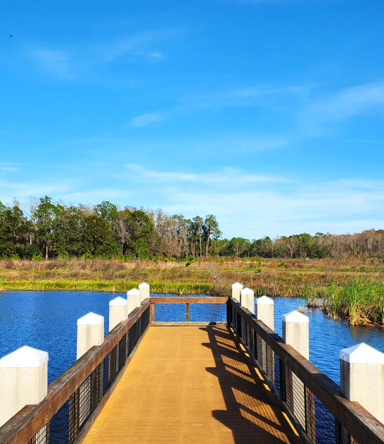 expansive state park florida ftr