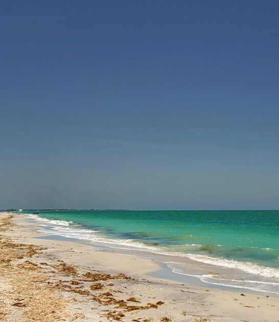 explore florida beautiful park ftr