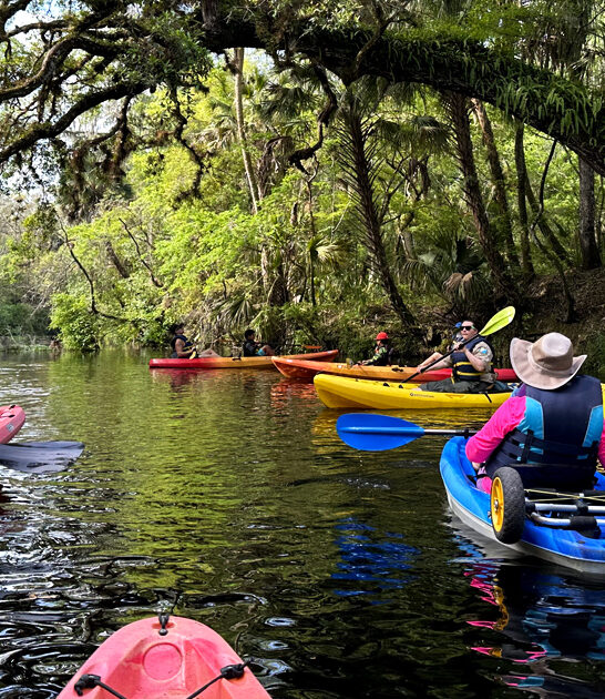 explore park florida dream ftr