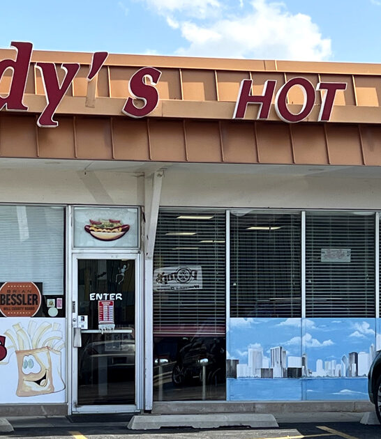 famous hotdog spot illinois ftr