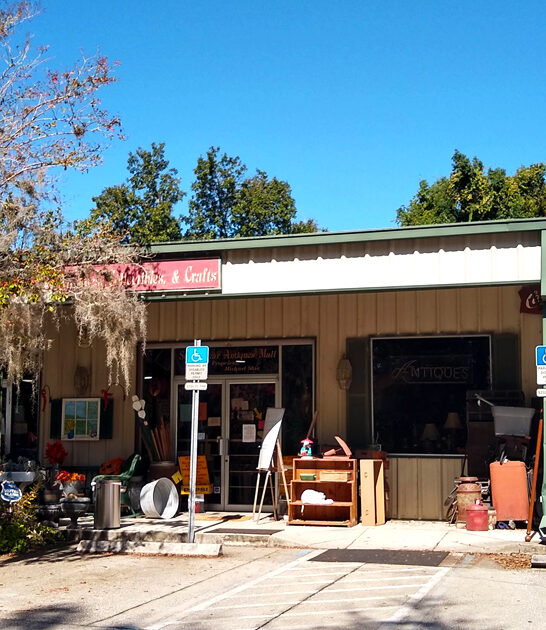 fancy vintage store florida ftr