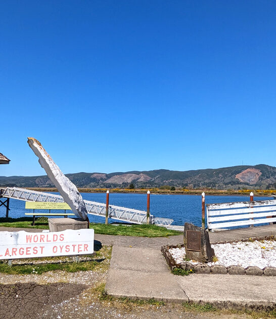fascinating beachside spot washington ftr