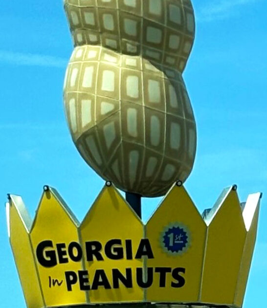 fascinating roadside georgia attraction ftr