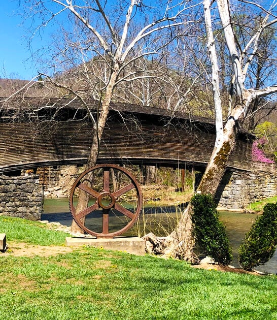 fascinatingly beautiful covered virginia ftr