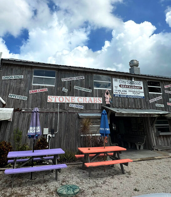 fish crunchy chips florida ftr