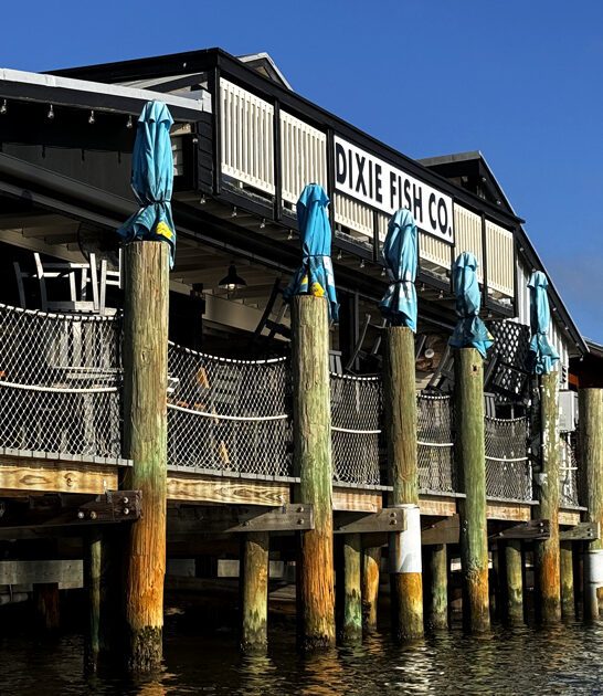 fish sandwich florida trip ftr