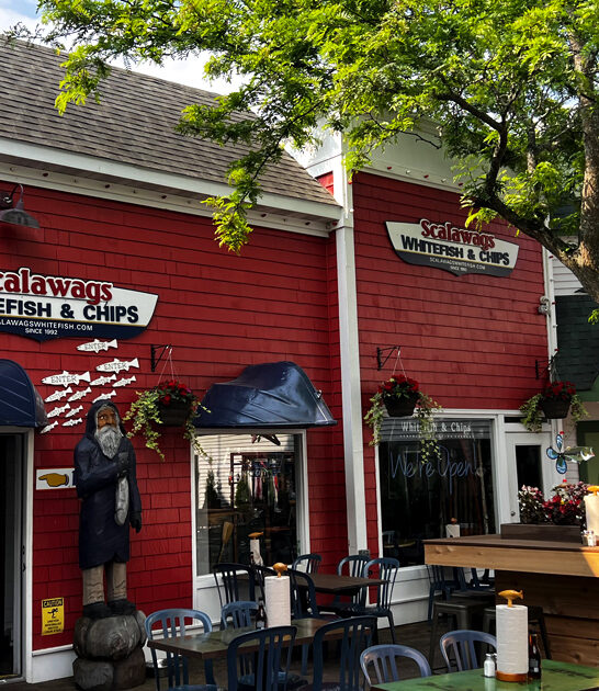 fish sandwich michigan ftr