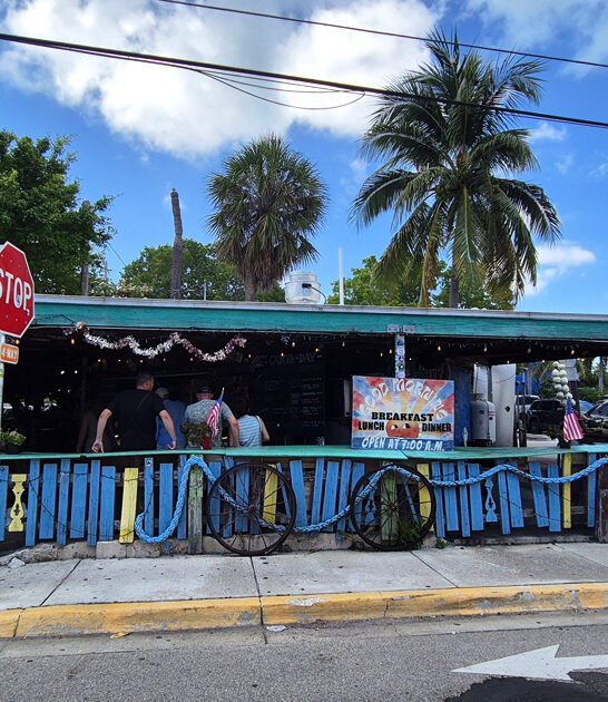 fish sandwich succulent florida ftr
