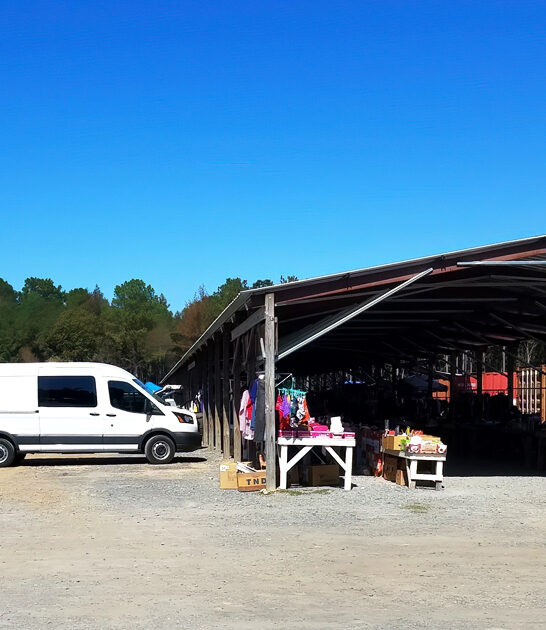 flea arkansas massive market ftr