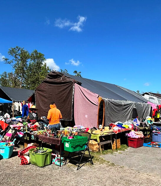 flea florida fills bargains ftr