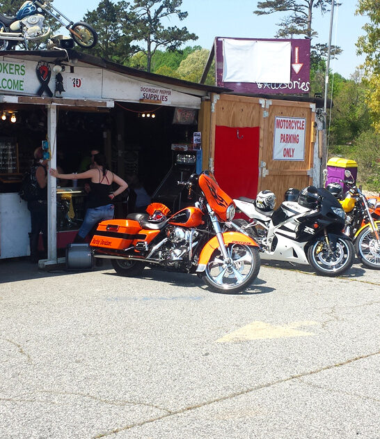 flea hunting north carolina