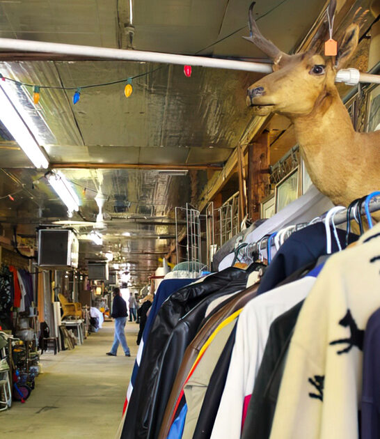 flea louisiana rare prices ftr