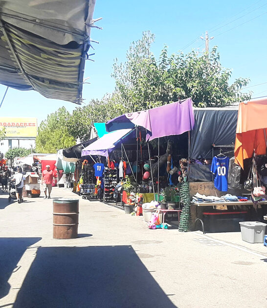 flea market bargain nevada ftr