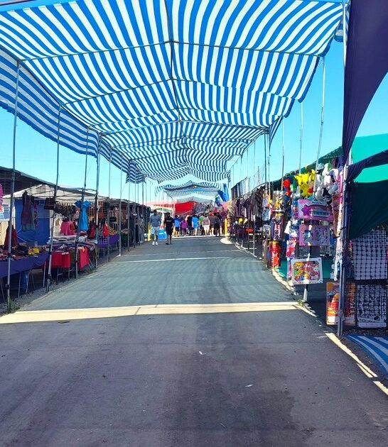 flea market enormous washington ftr