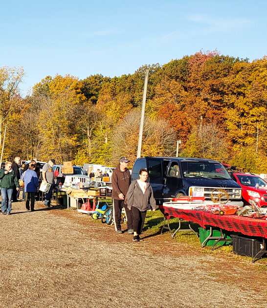 flea market finds michigan ftr