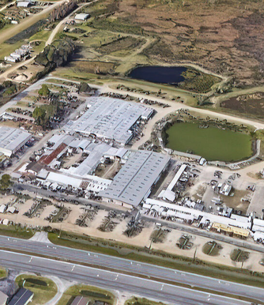 flea market florida gigantic ftr