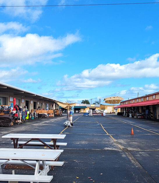 flea market florida stretch ftr