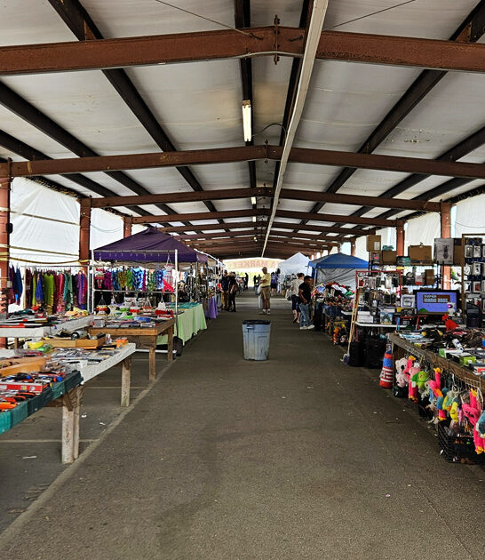 flea market mississippi offers ftr