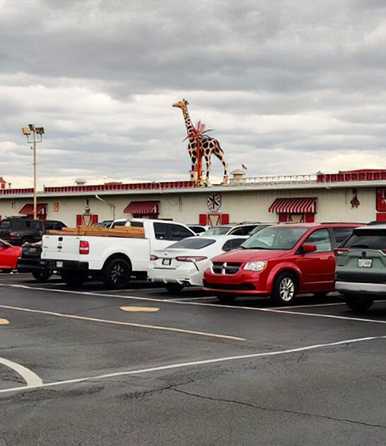 flea market ohio immense ftr