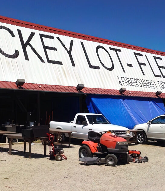 flea market treasures louisiana ftr