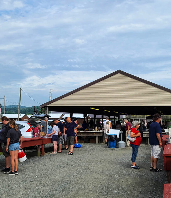 flea markets giant pennsylvania FTR