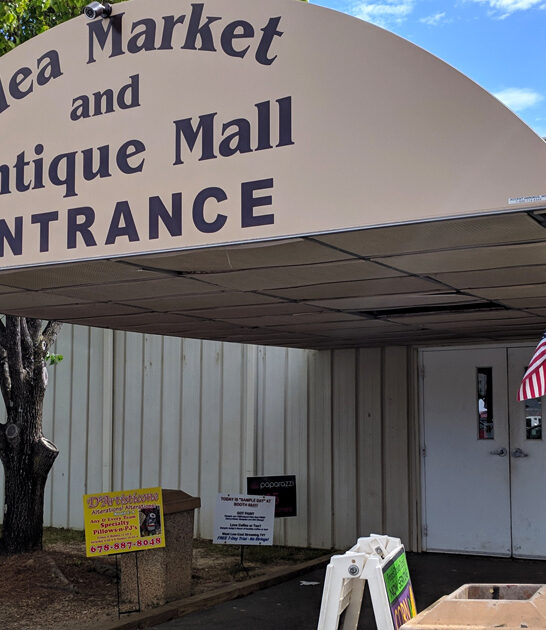 flea rare treasures georgia ftr