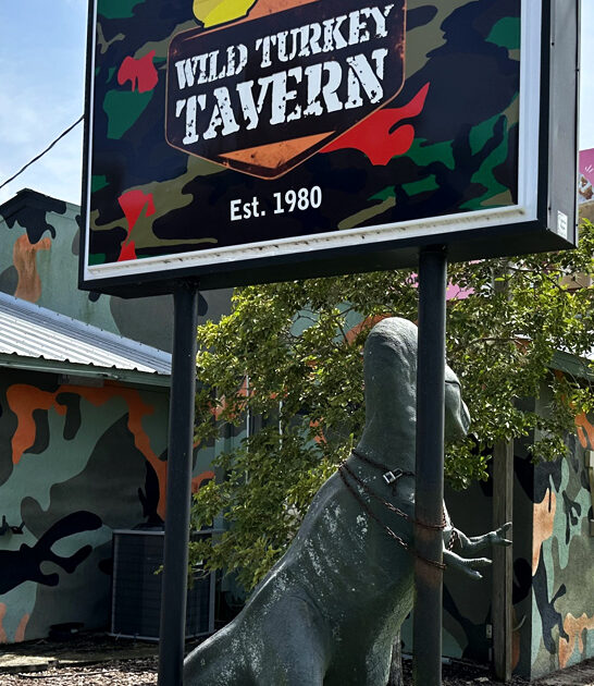 florida bar gator tail ftr