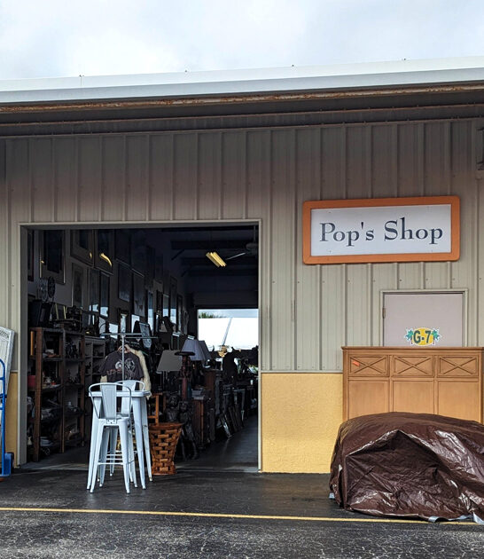 florida bargain hunting oasis ftr
