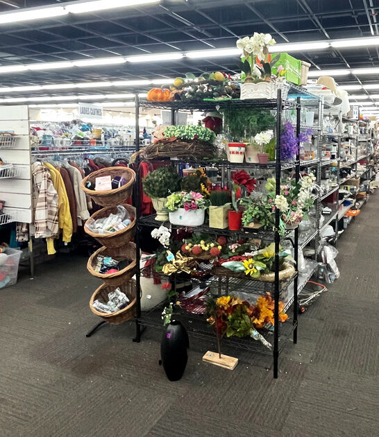 florida bargain store thrift ftr