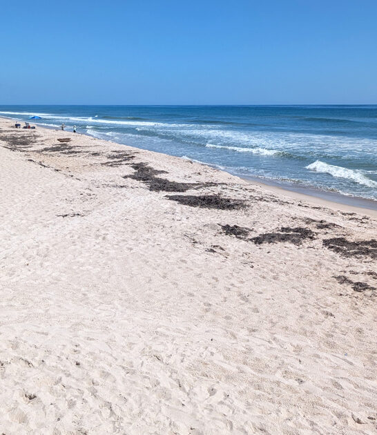 florida beach ocean waves ftr