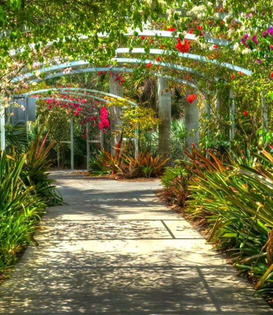 florida botanical garden enchanting ftr