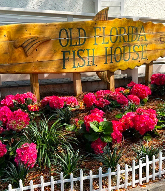 florida charboiled oysters restaurant ftr