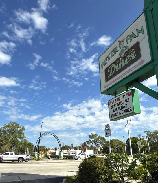 florida chicken wings diner ftr