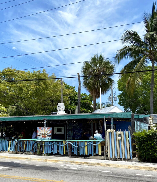florida conch fritters great ftr