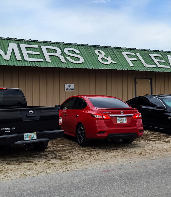 florida coolest flea deals ftr