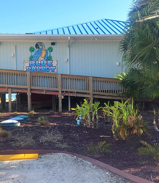 florida crab cakes excellent ftr