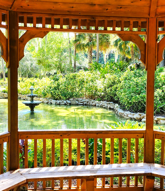 florida discover gorgeous park ftr