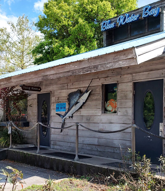 florida fried shrimp dish ftr