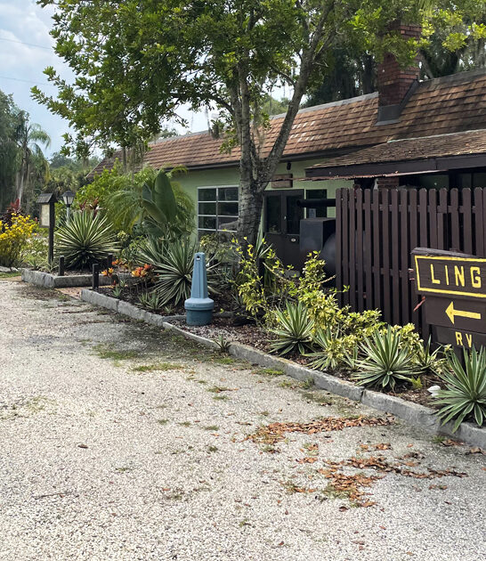 florida gator restaurant bites ftr