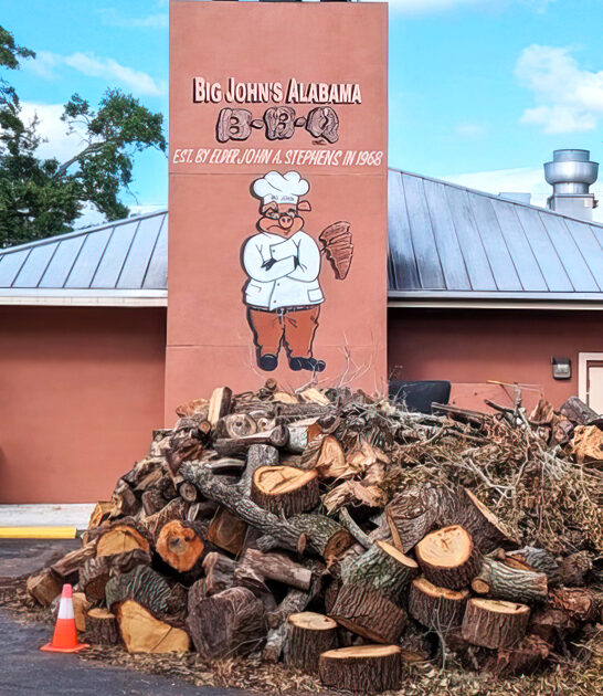 florida little known ribs ftr