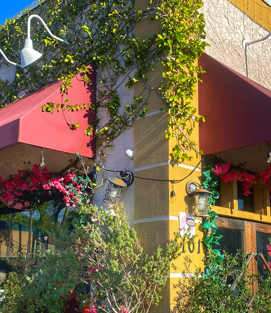 florida margherita pizza pizzeria ftr