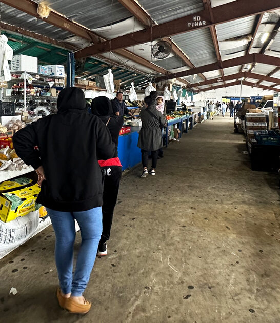florida market bargain hunt ftr