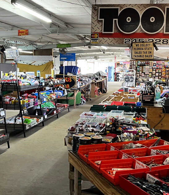 florida market coolest stuff ftr
